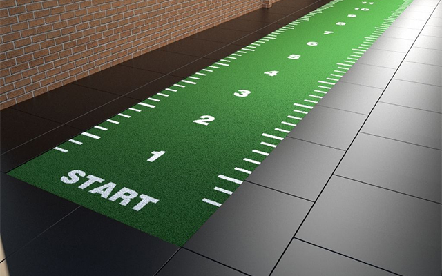 Gym Turf Manufacturer & Supplier - Grace Grass