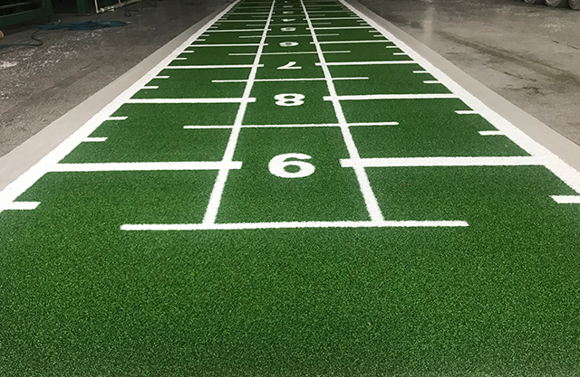 Gym Turf Manufacturer & Supplier - Grace Grass