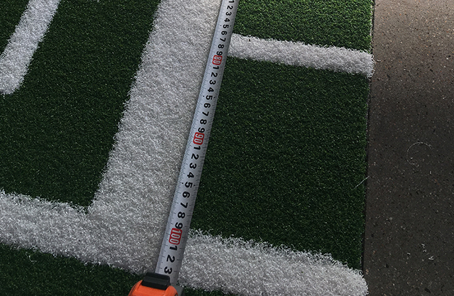 Gym Turf Manufacturer & Supplier - Grace Grass